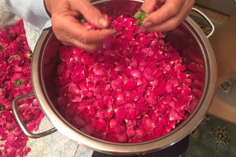 Damask Rose Dried Bud - Salvia Flower