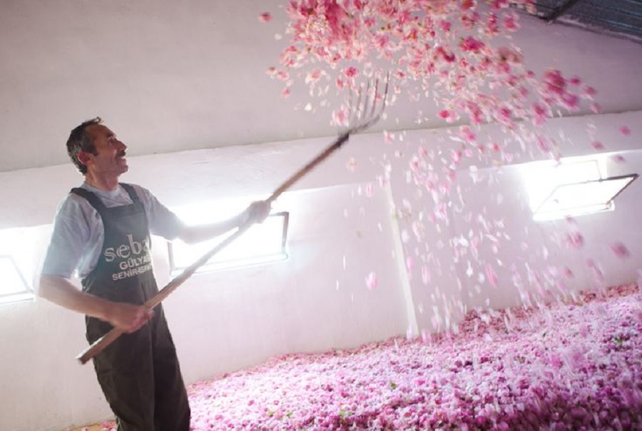 Damask Rose Dried Bud - Salvia Flower