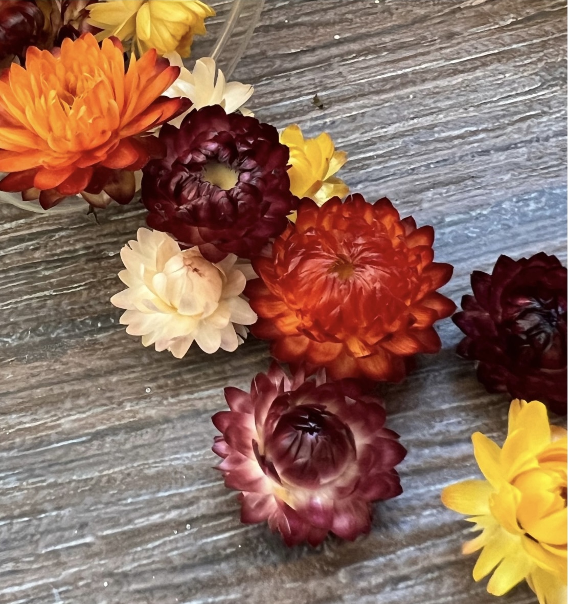 Everlasting Dried Edible Flower - Salvia Flower