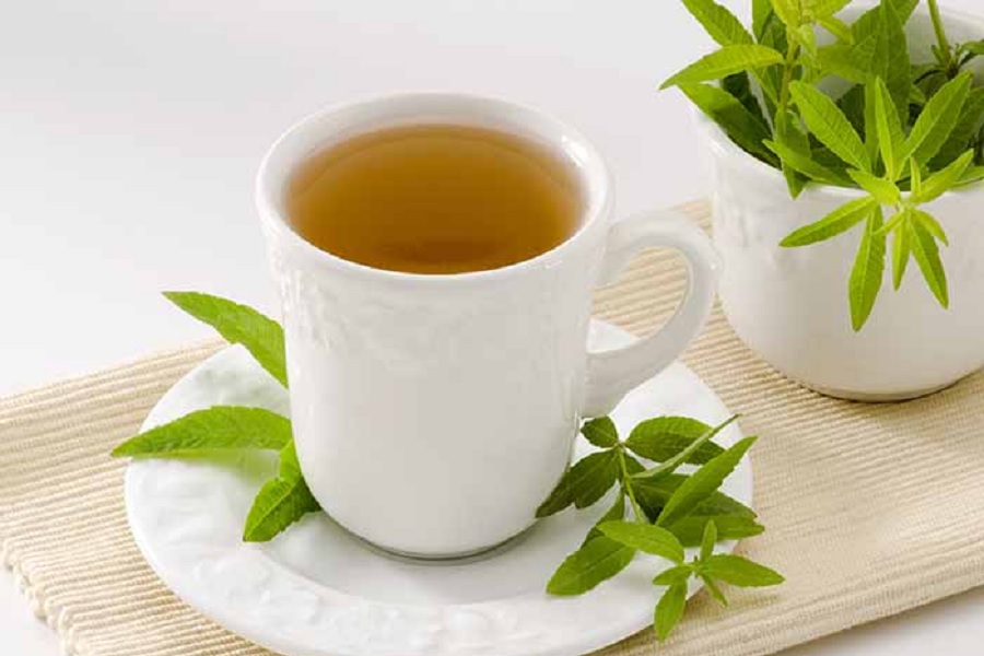 LEMON VERBENA - Salvia Flower