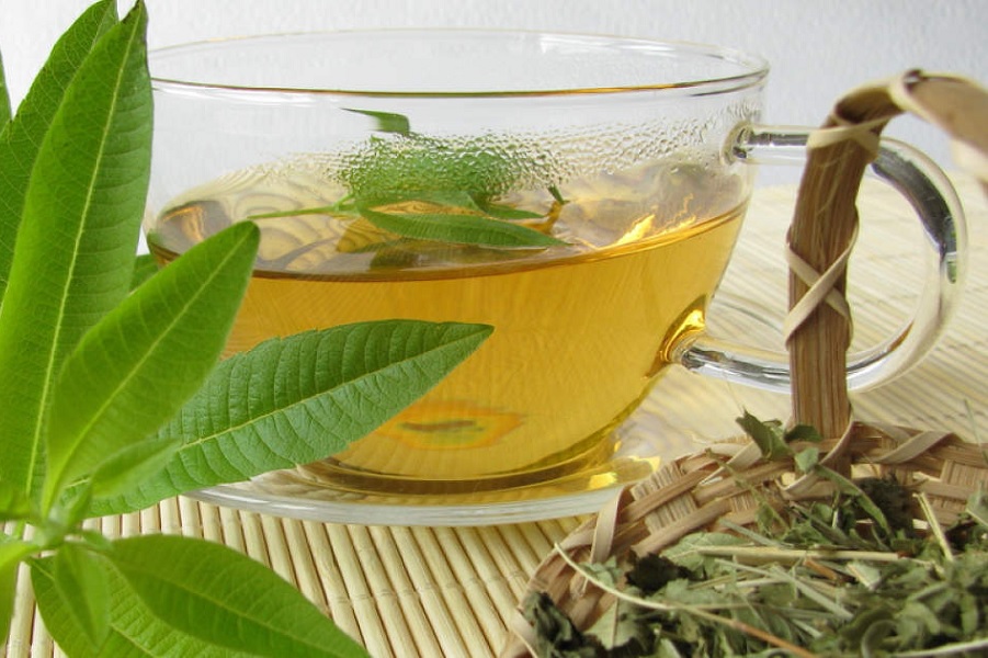 LEMON VERBENA - Salvia Flower